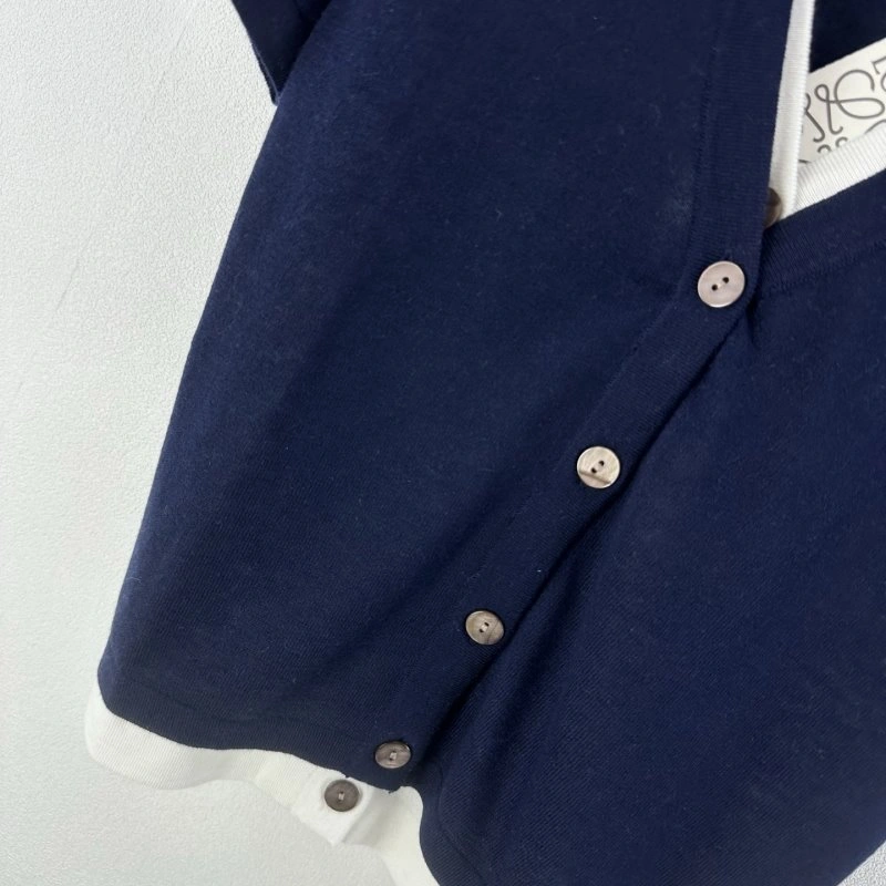 1:1 copy Loewe Sweaters