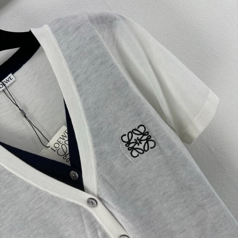 Exact replica Loewe Sweaters