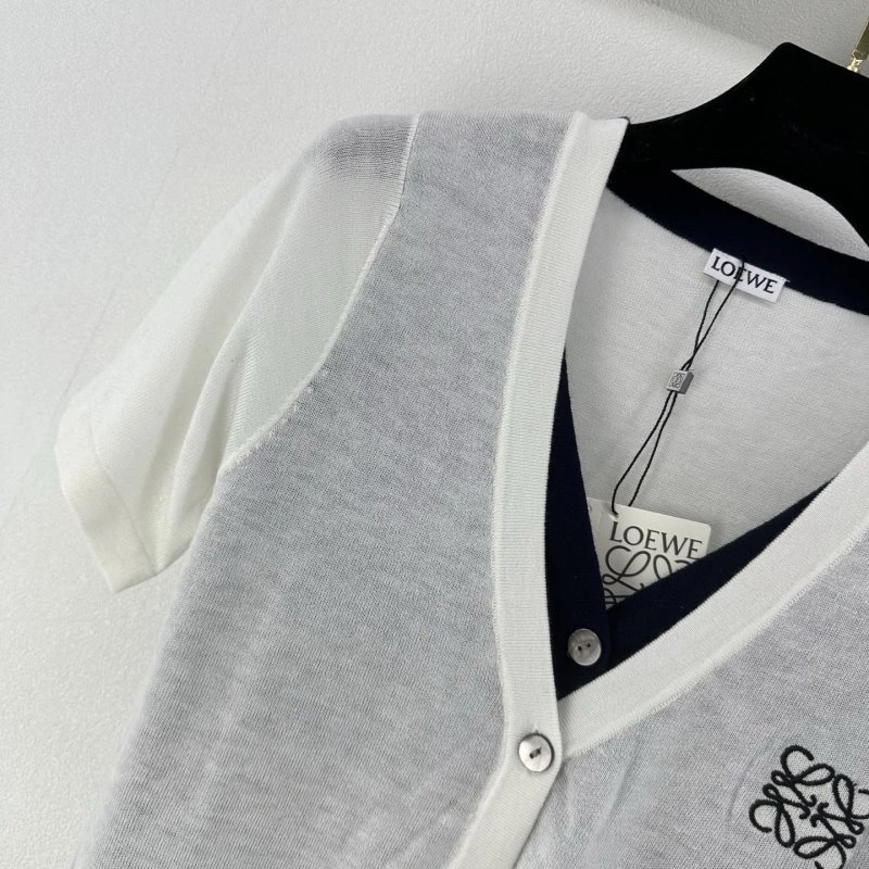 Exact replica Loewe Sweaters
