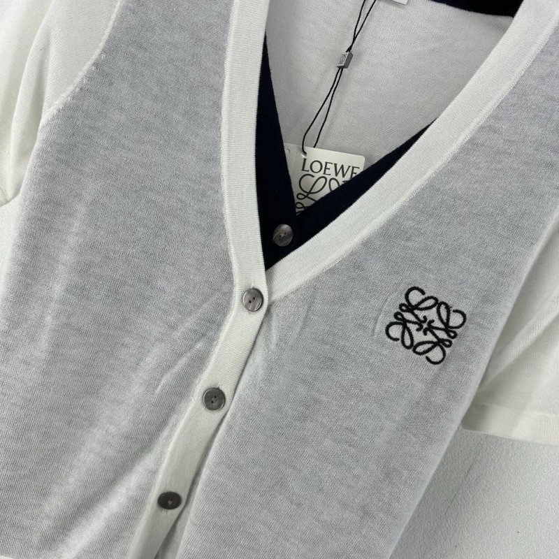 Exact replica Loewe Sweaters
