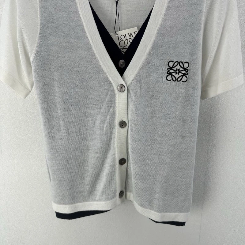 Exact replica Loewe Sweaters
