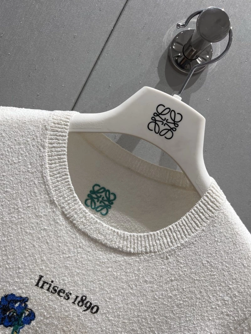 High fidelity Loewe Sweaters