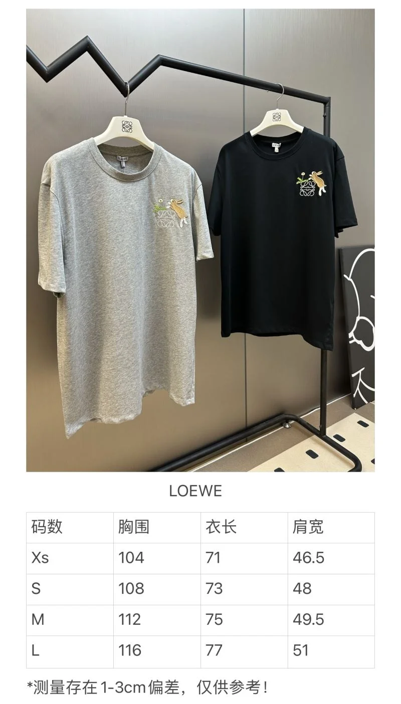 Reasonably priced Loewe T-Shirts