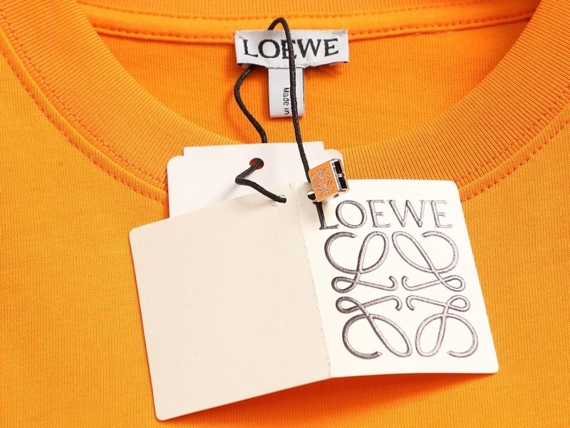 Indistinguishable Loewe T-Shirts