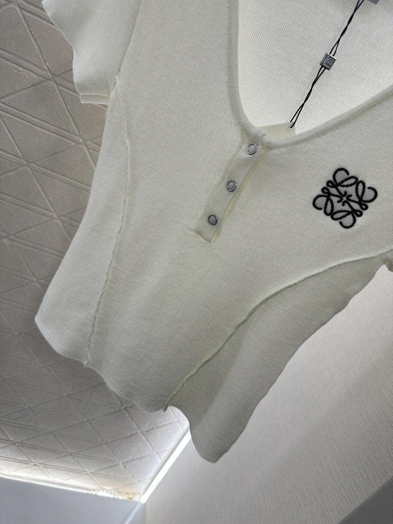 1:1 copy Loewe T-Shirts