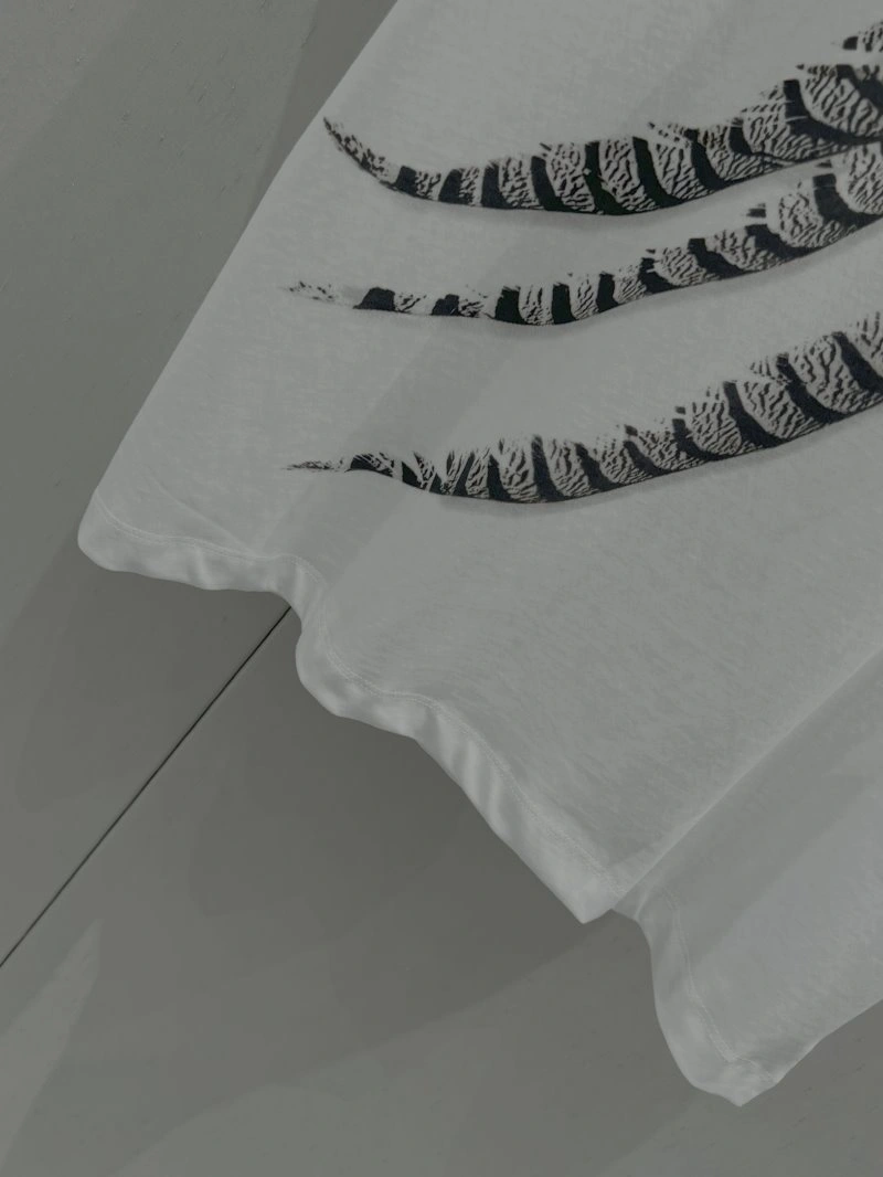 High accuracy Loewe T-Shirts