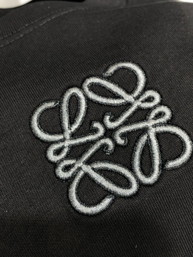 Exact replica Loewe T-Shirts
