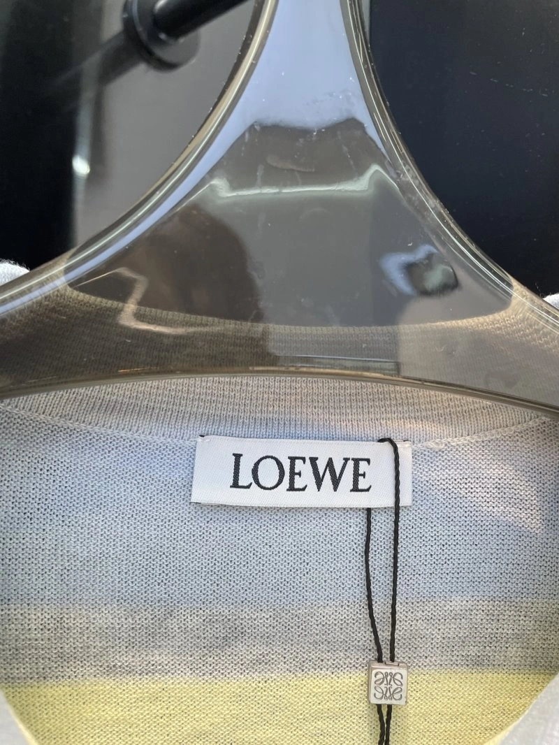 Indistinguishable Loewe T-Shirts