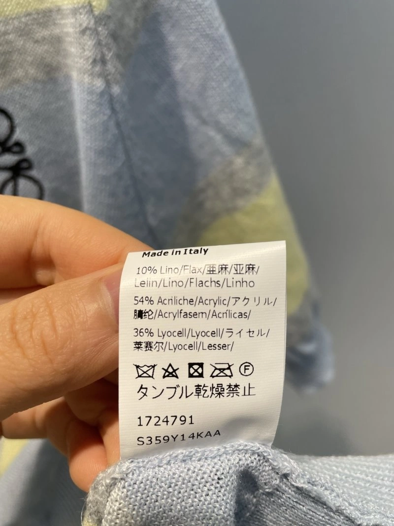 Indistinguishable Loewe T-Shirts