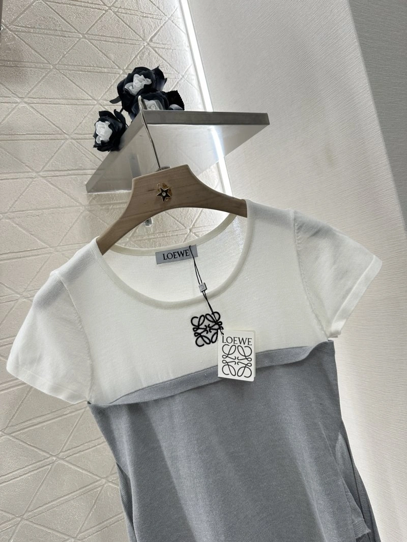Reasonably priced Loewe T-Shirts