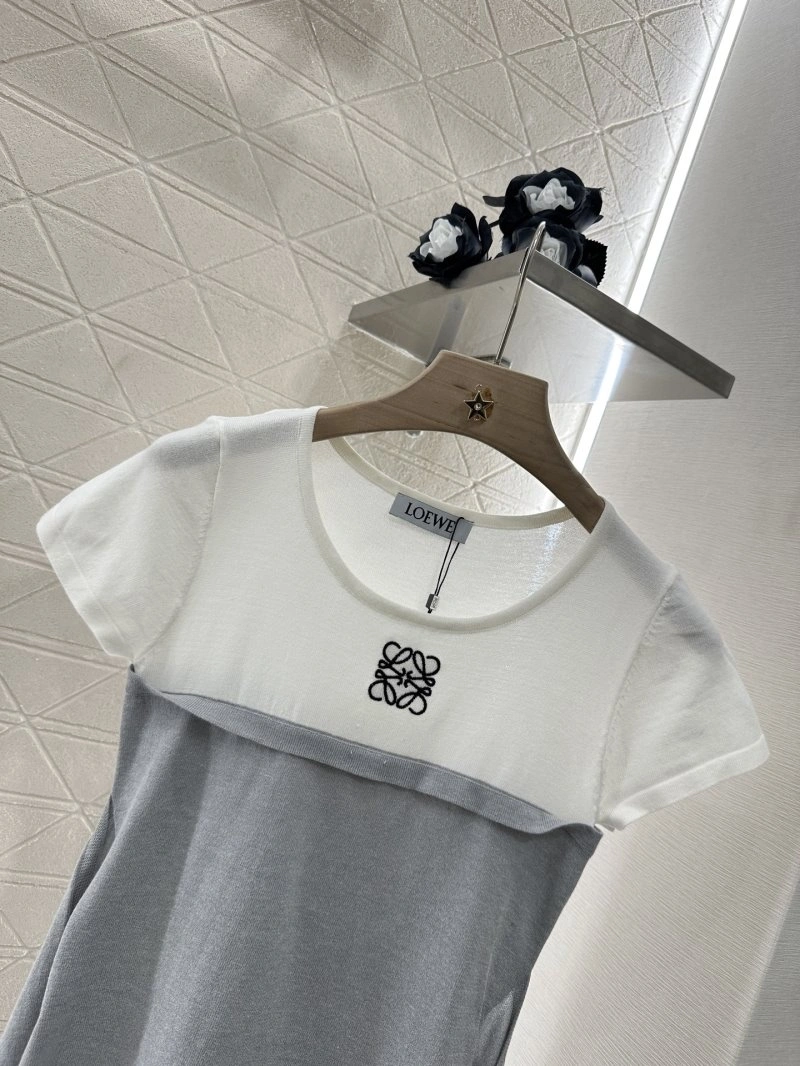Reasonably priced Loewe T-Shirts