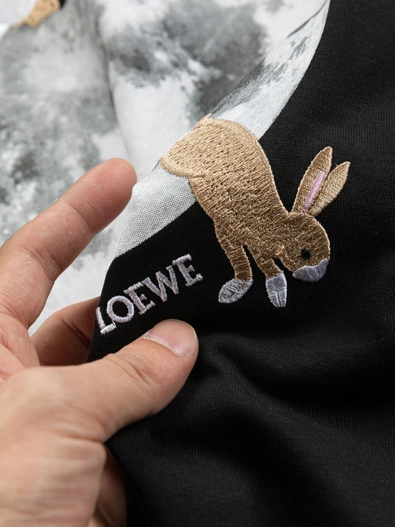 Indistinguishable Loewe T-Shirts