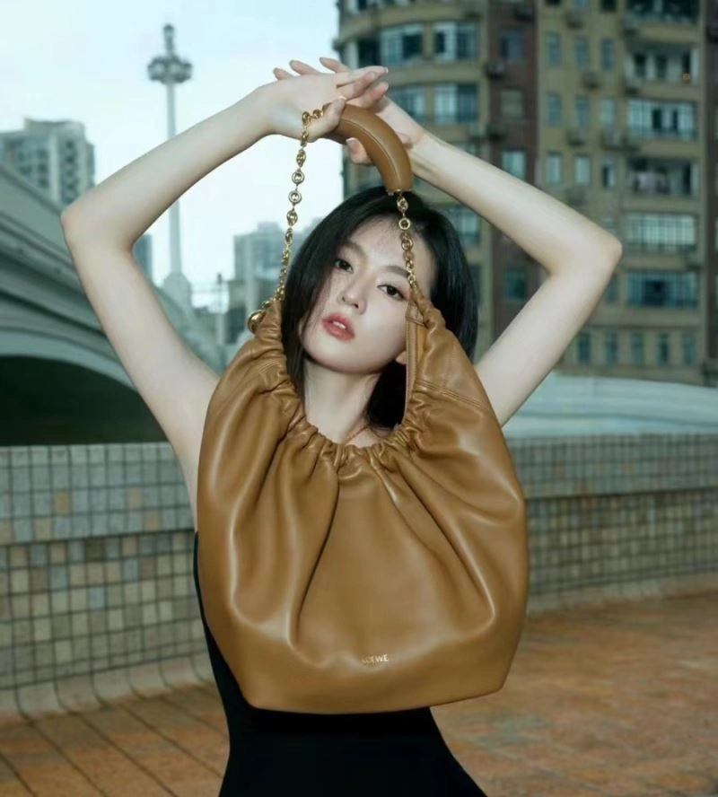 Indistinguishable Loewe Top Handle Bags