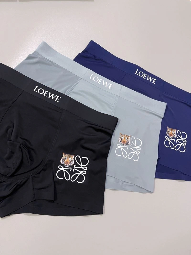 Factory-made Loewe Underwear