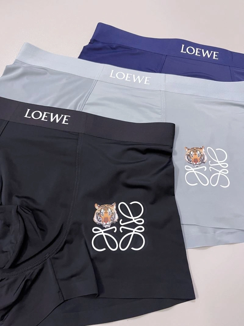 Factory-made Loewe Underwear