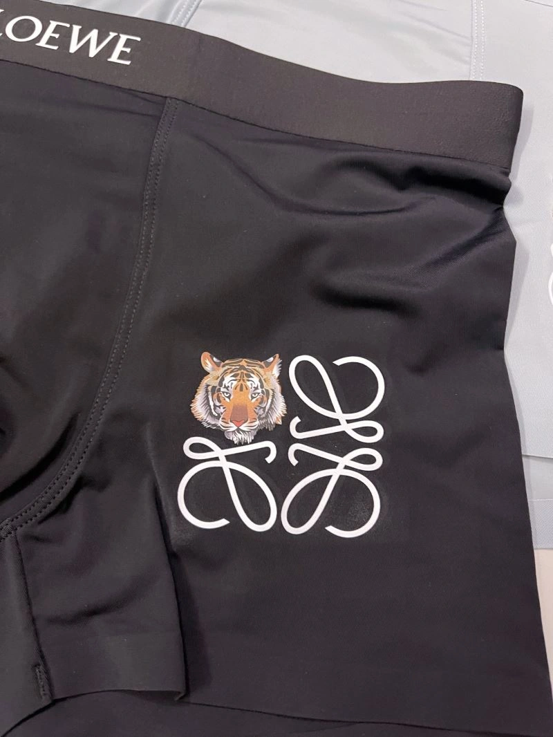 Factory-made Loewe Underwear