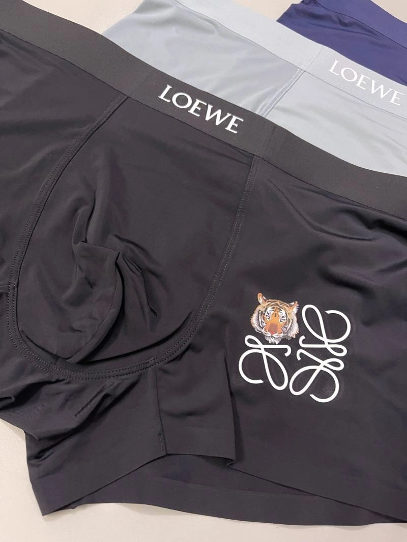 Factory-made Loewe Underwear