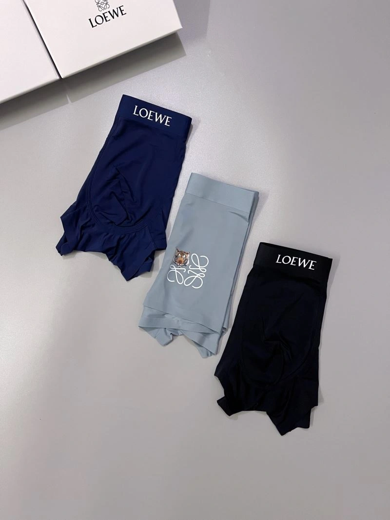 Factory-made Loewe Underwear