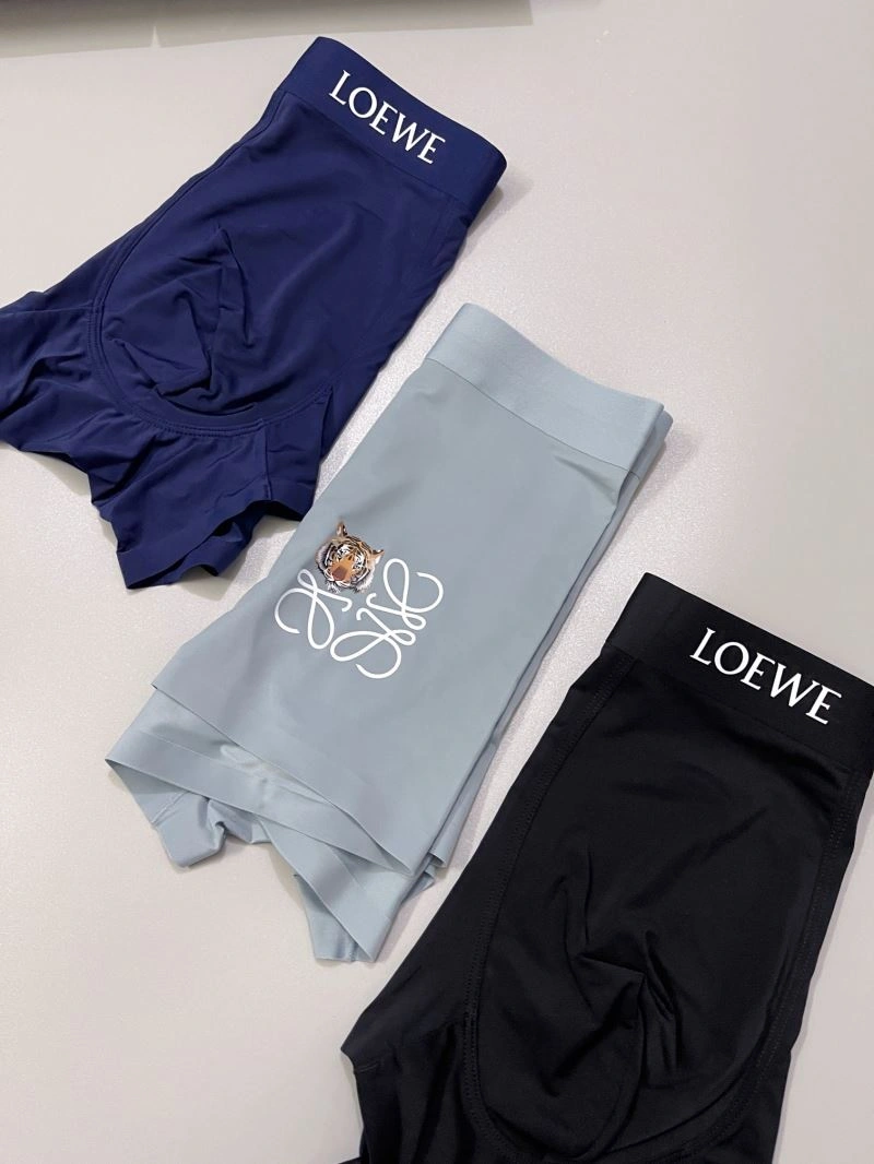 Factory-made Loewe Underwear