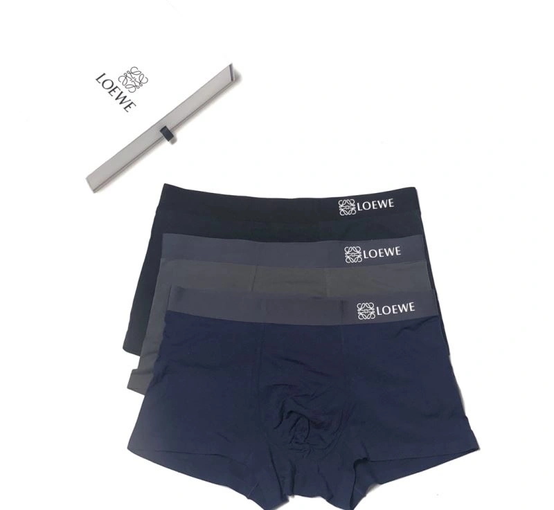 Accurate model Loewe Underwear