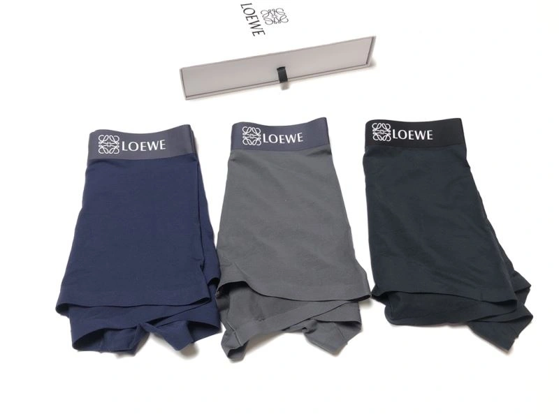 Accurate model Loewe Underwear