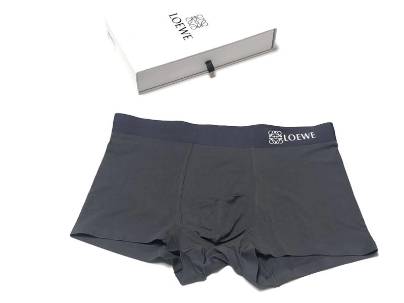 Accurate model Loewe Underwear