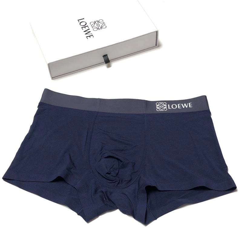 Accurate model Loewe Underwear