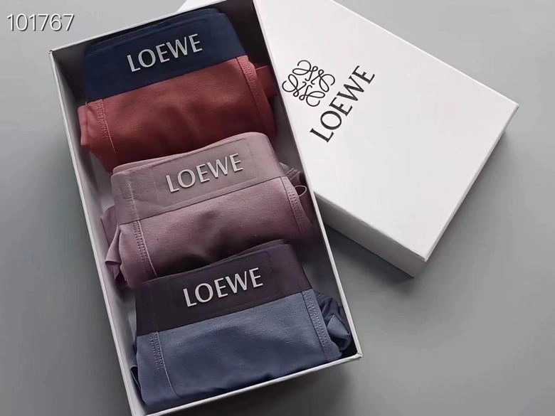 Indistinguishable Loewe Underwear