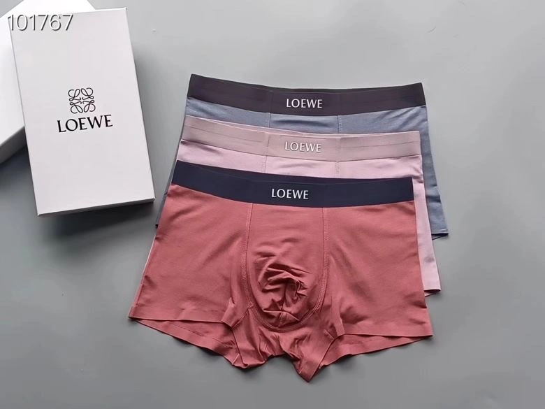 Indistinguishable Loewe Underwear