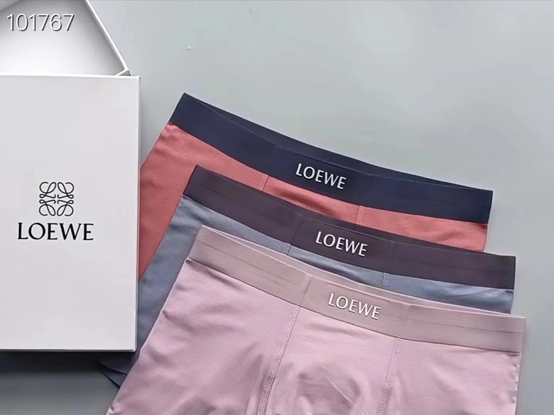 Indistinguishable Loewe Underwear