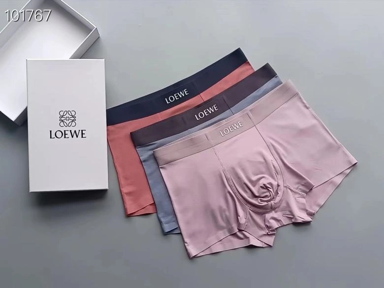 Indistinguishable Loewe Underwear