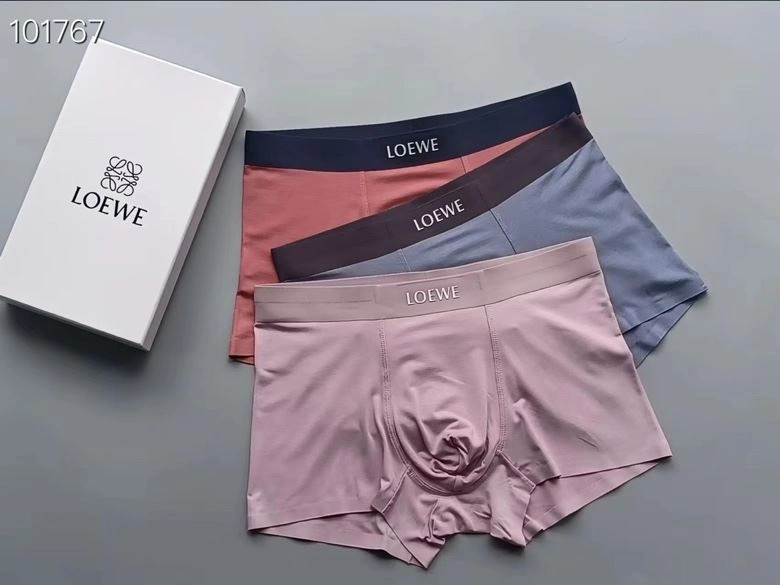 Indistinguishable Loewe Underwear