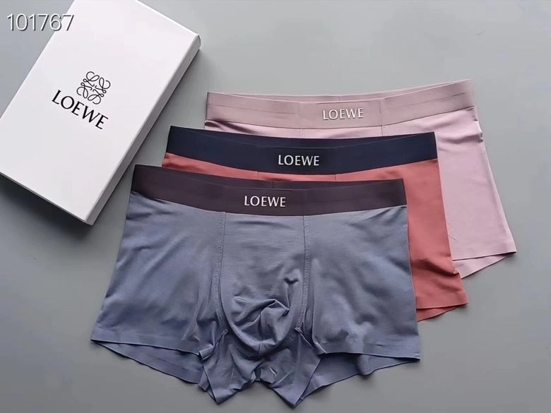 Indistinguishable Loewe Underwear