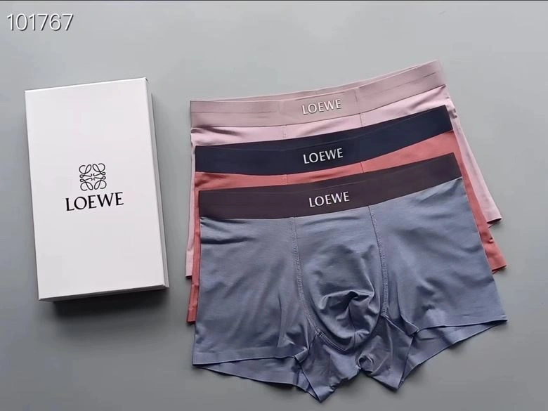 Indistinguishable Loewe Underwear