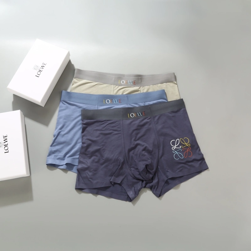 Value-priced Loewe Underwear