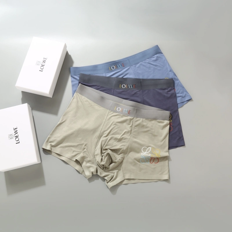 Value-priced Loewe Underwear