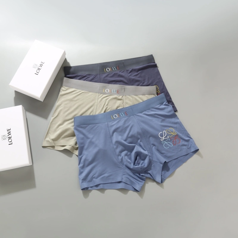 Value-priced Loewe Underwear