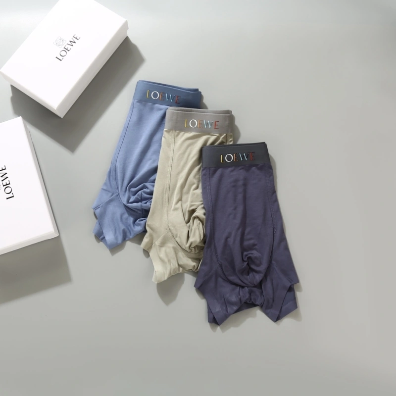 Value-priced Loewe Underwear