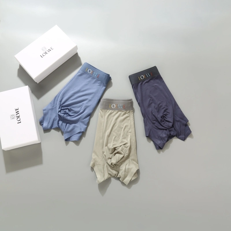 Value-priced Loewe Underwear