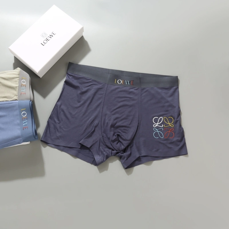 Value-priced Loewe Underwear
