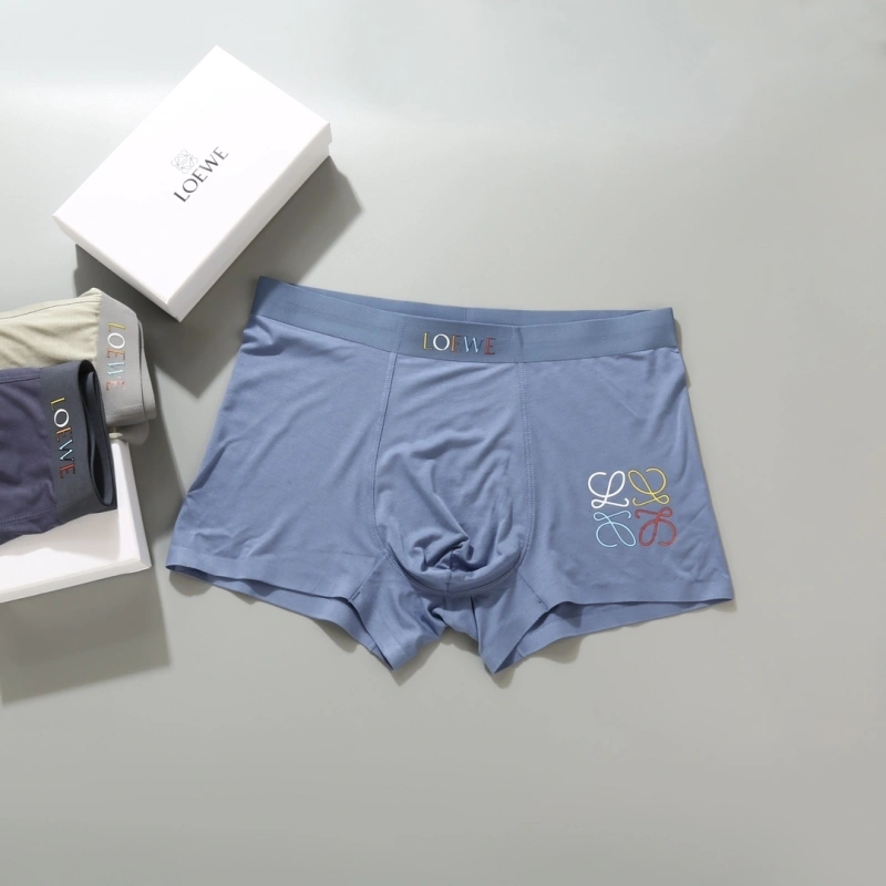 Value-priced Loewe Underwear