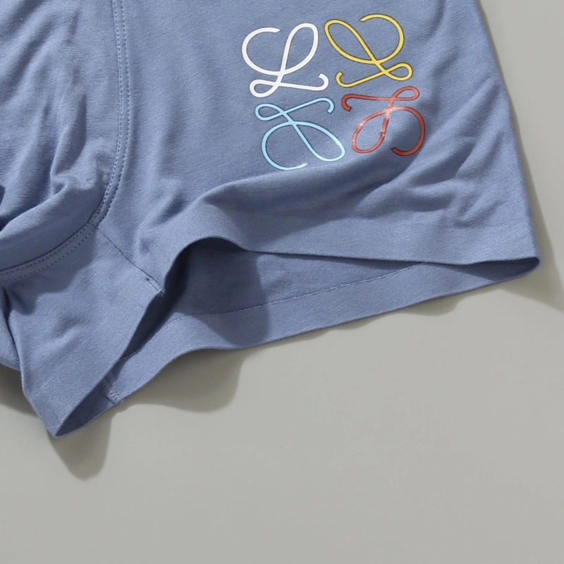 Value-priced Loewe Underwear