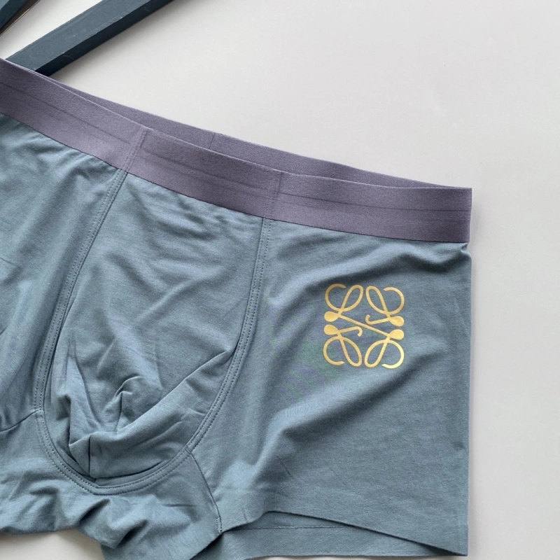 Brand-authenticated Loewe Underwear