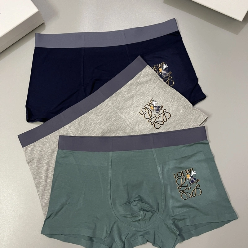 Reasonably priced Loewe Underwear
