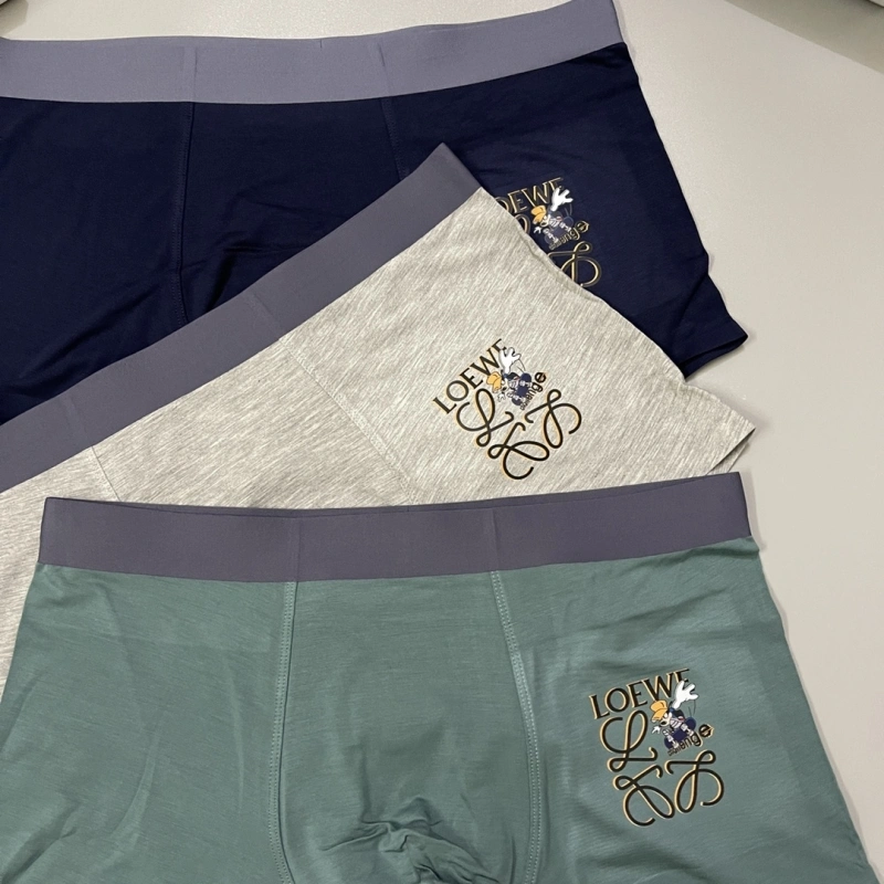 Reasonably priced Loewe Underwear