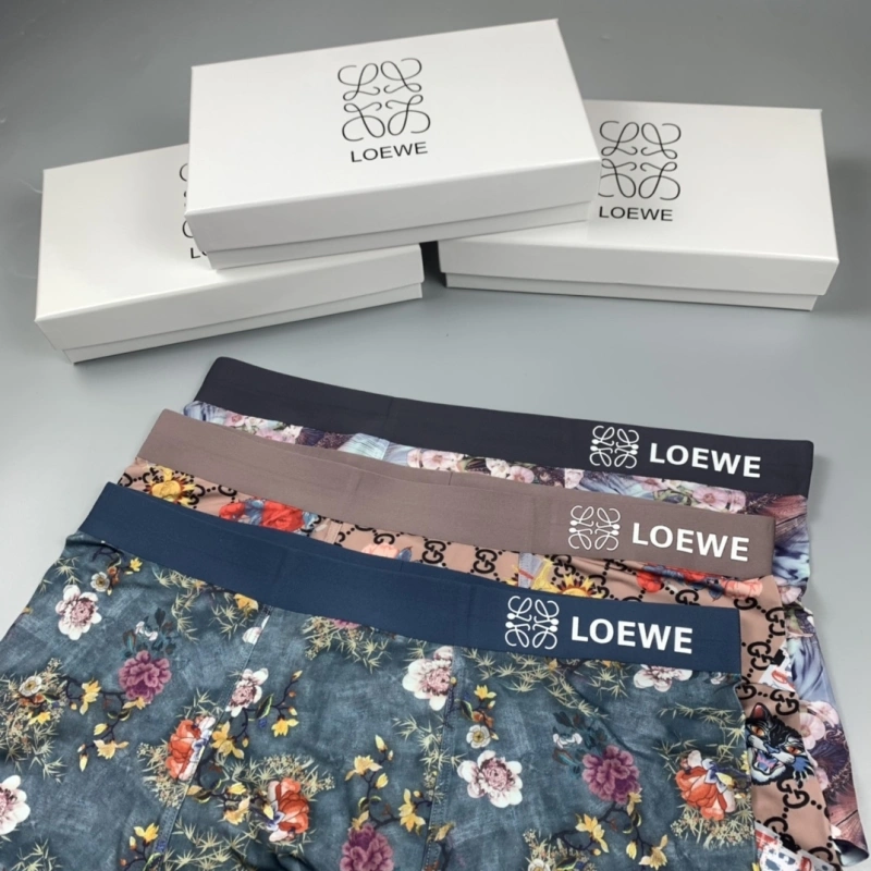 Reasonably priced Loewe Underwear