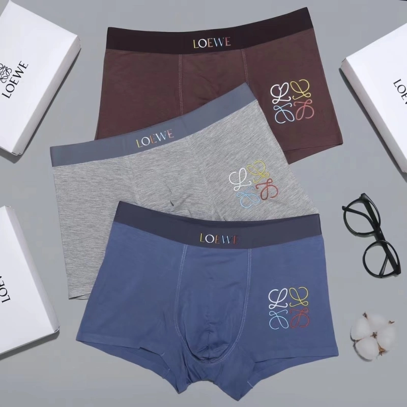 Affordable Loewe Underwear