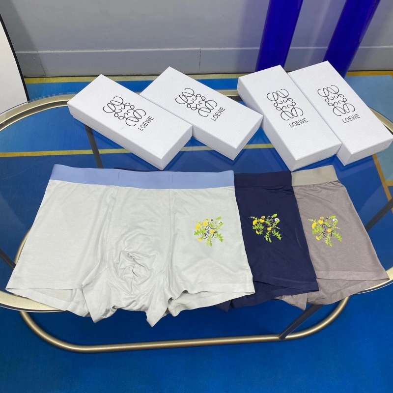 Loewe Underwear