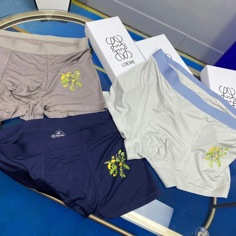 Low-cost Loewe Underwear
