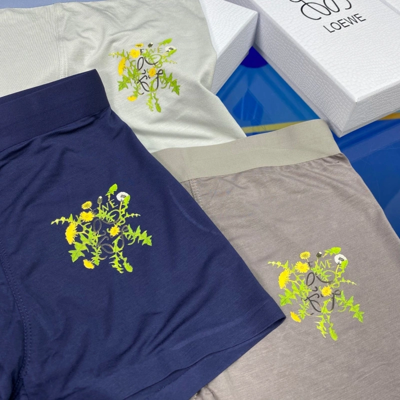 Low-cost Loewe Underwear